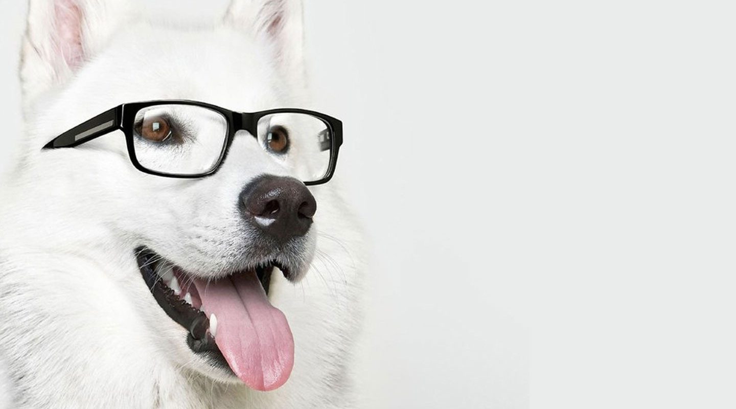 sluder3 – Lensmart Singapore